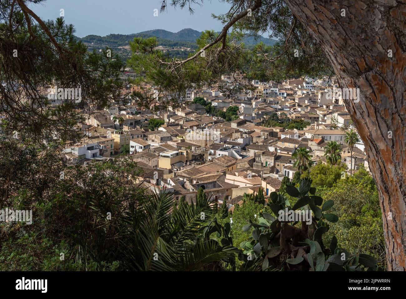Aerial view of the tourist town of Arta at sunrise on a summer day ...