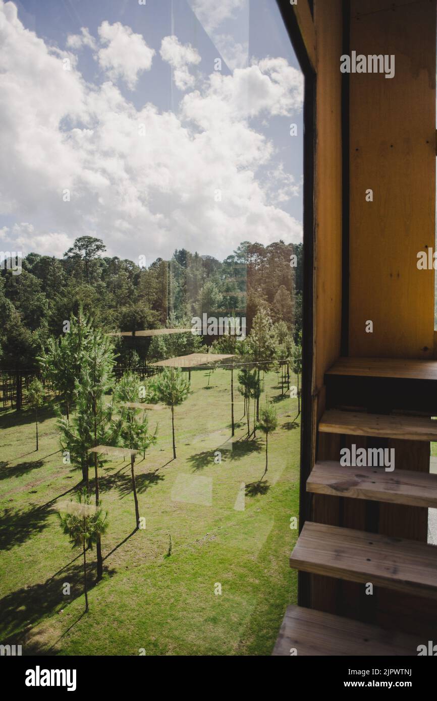 A vertical shot through a big glass window of a yard with green grass ...