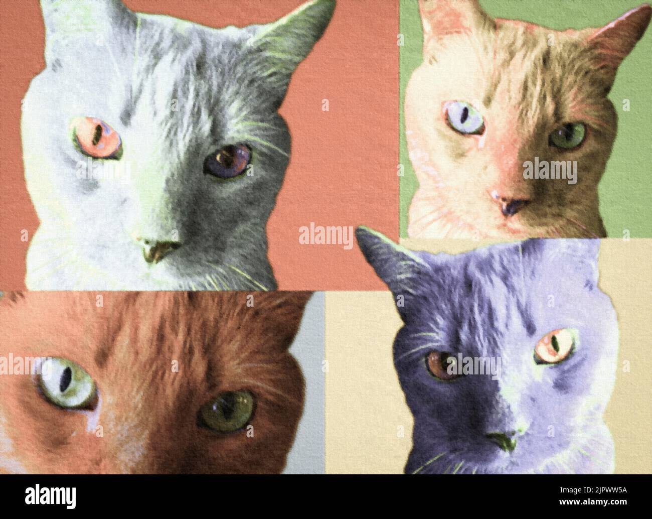 Pop - art cats with texture. 3D rendering Stock Photo - Alamy