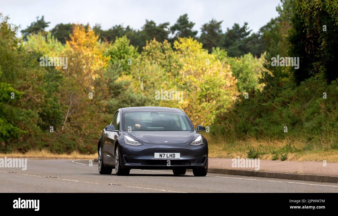 2019 tesla hi-res stock photography and images - Alamy