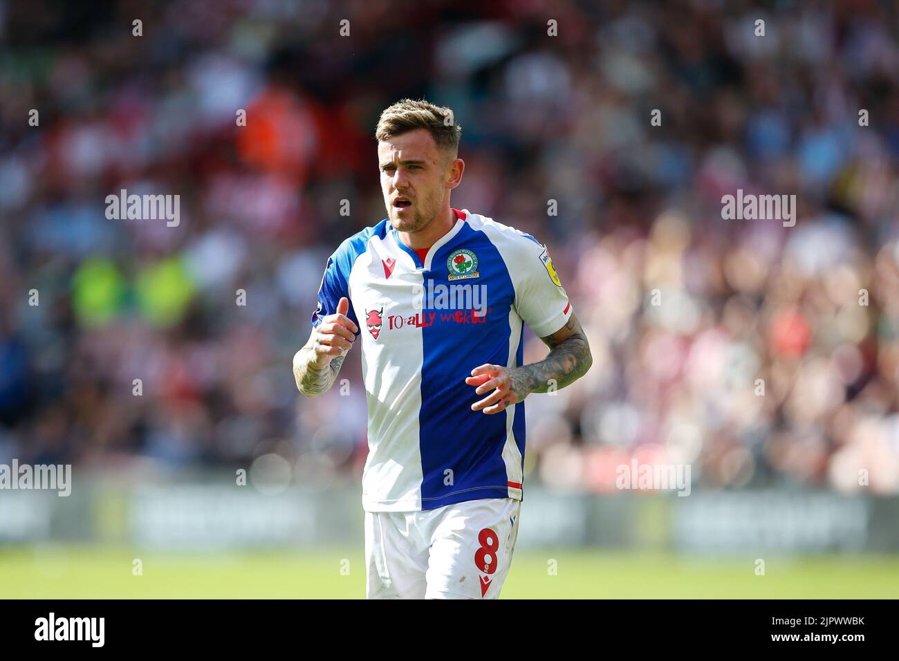Sheffield, UK. 20th Aug, 2022. Sammie Szmodics #8 of Blackburn Rovers ...