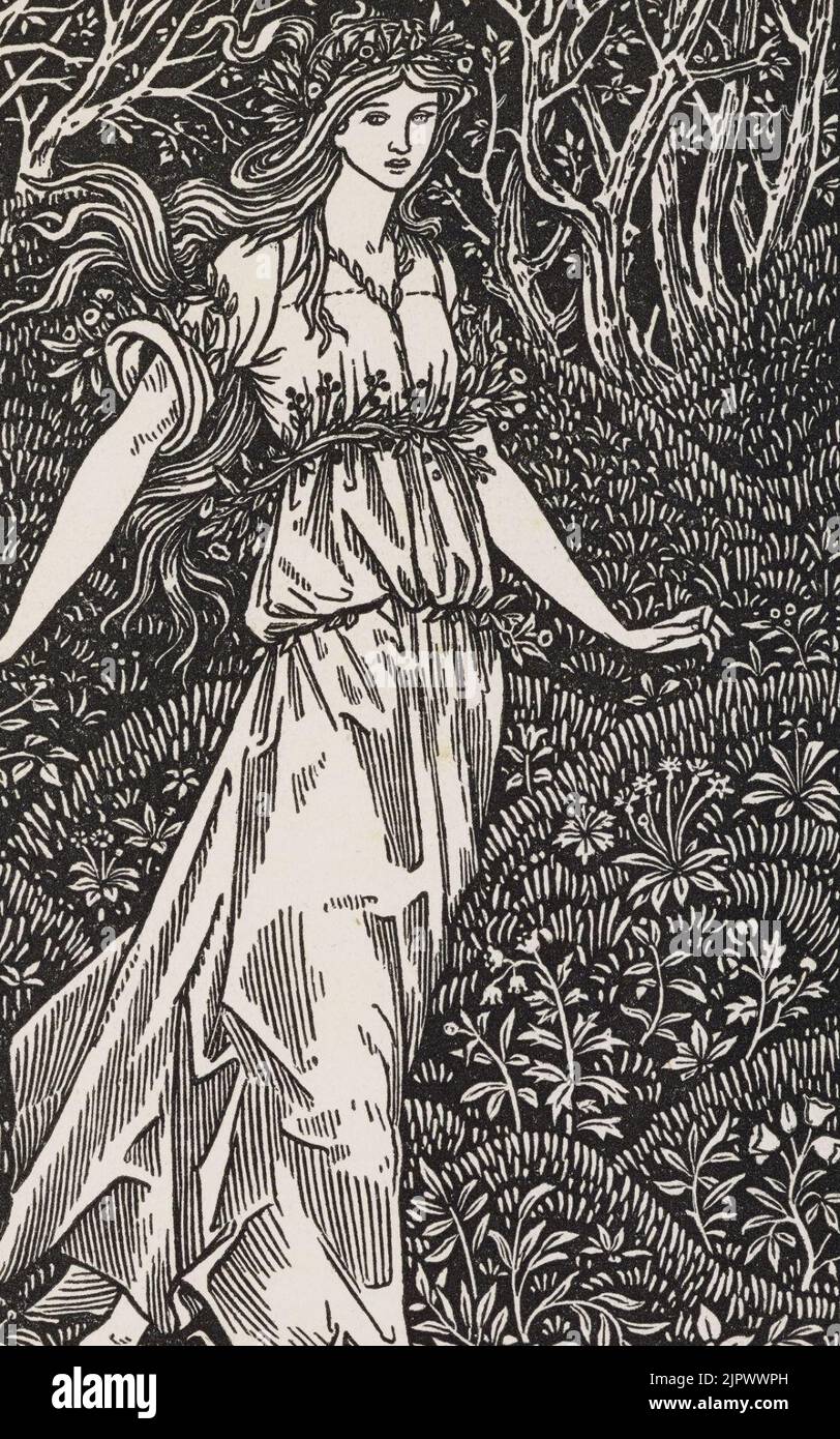 The wood beyond the world Stock Photo - Alamy