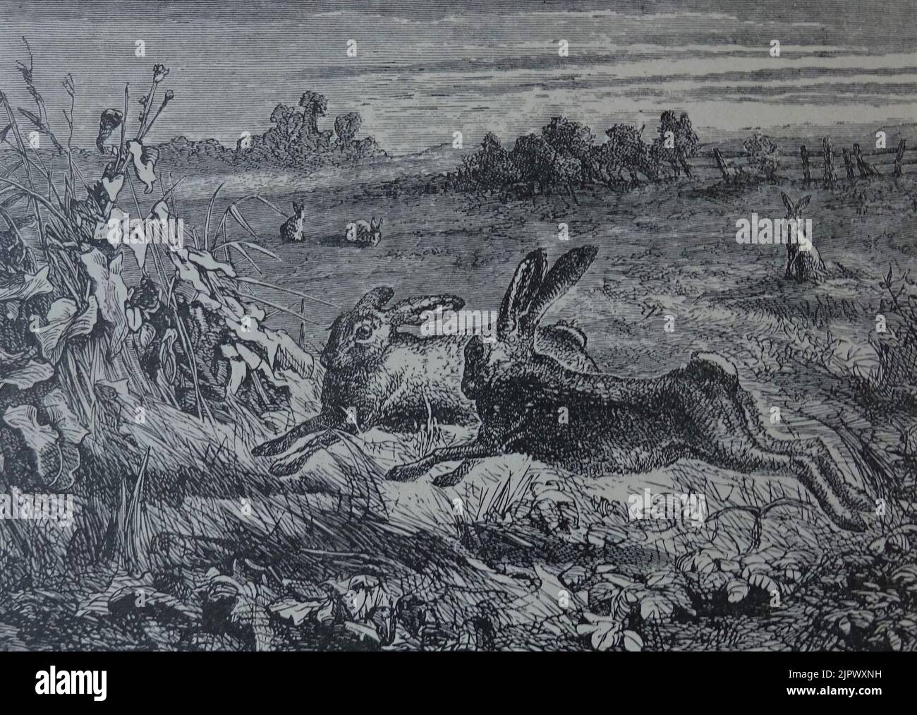 John leighton hi-res stock photography and images - Alamy