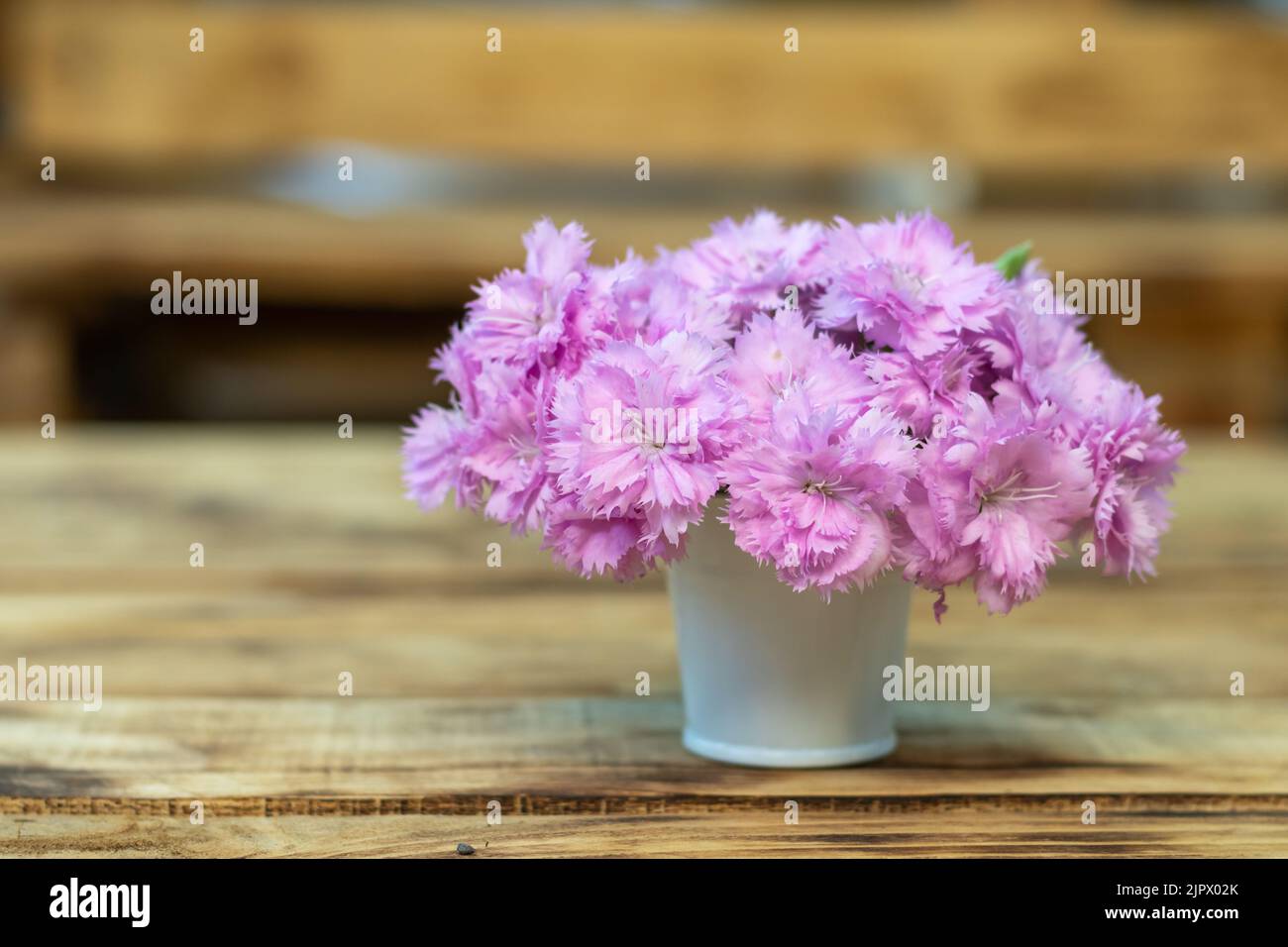 White bucket with pastel pink carnation flowers on a wooden table ...