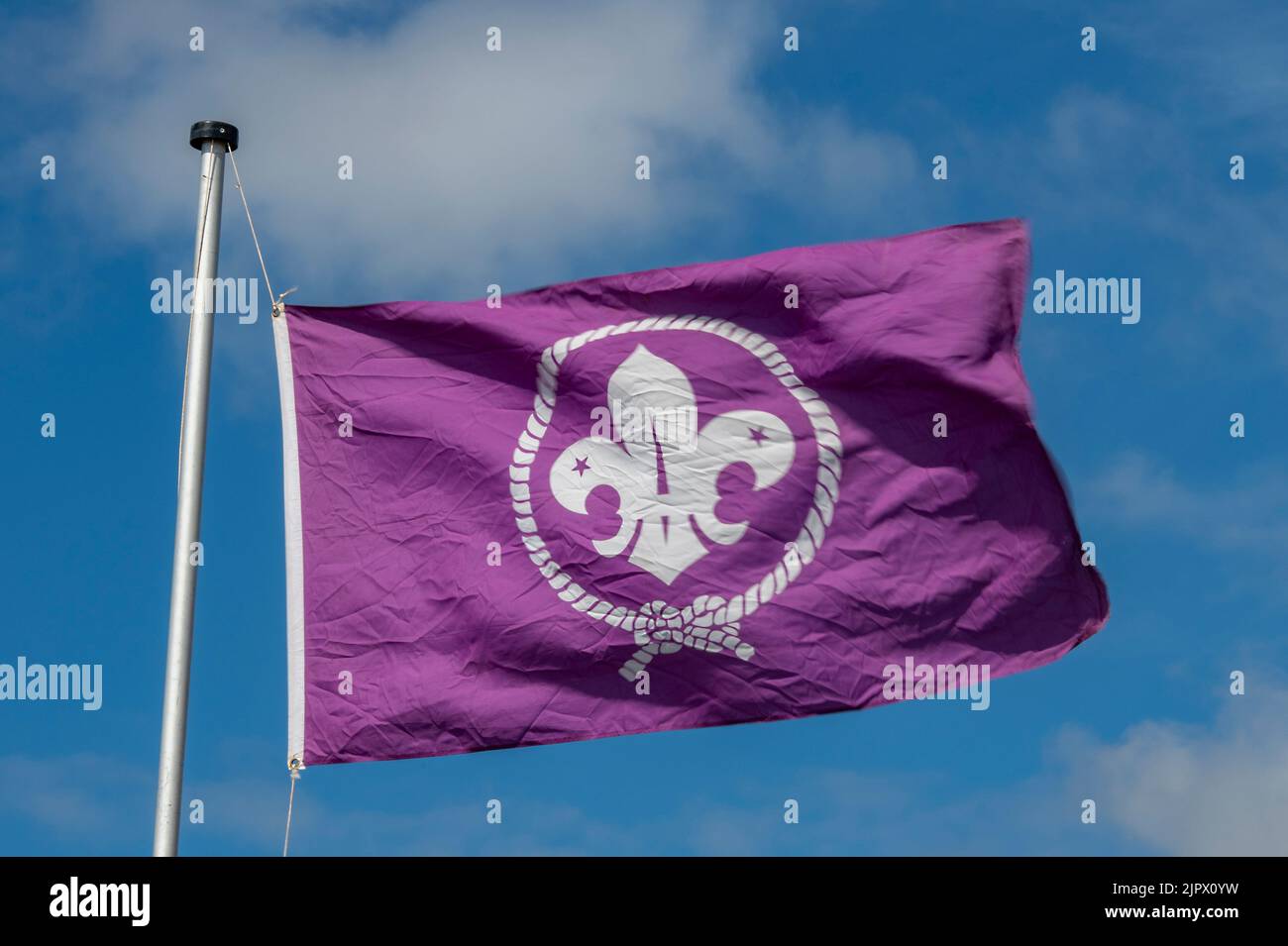 flag of the scouting movement or boy scouts and cubs, banner or the ...