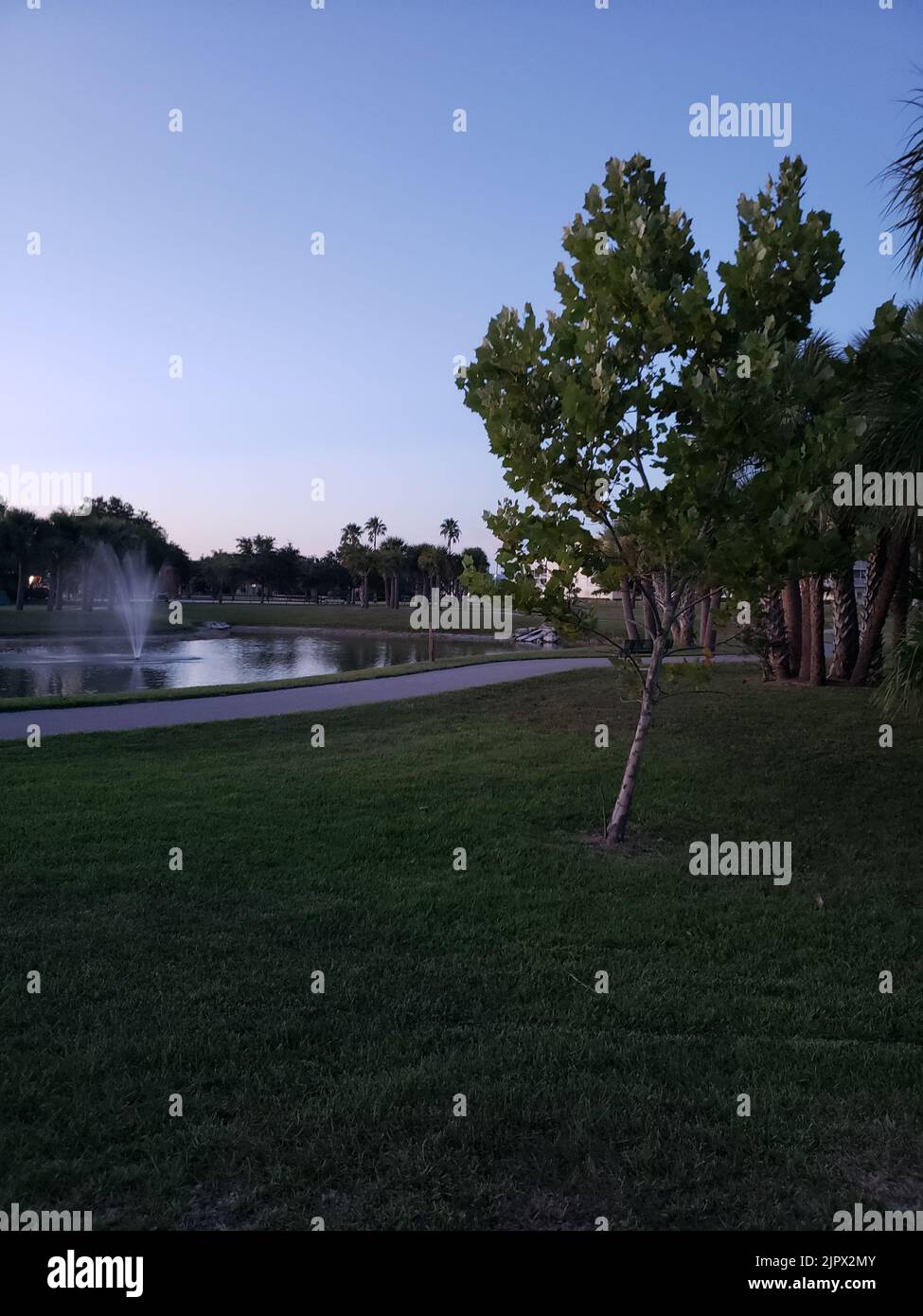 Manatee sanctuary park cape canaveral hi-res stock photography and ...