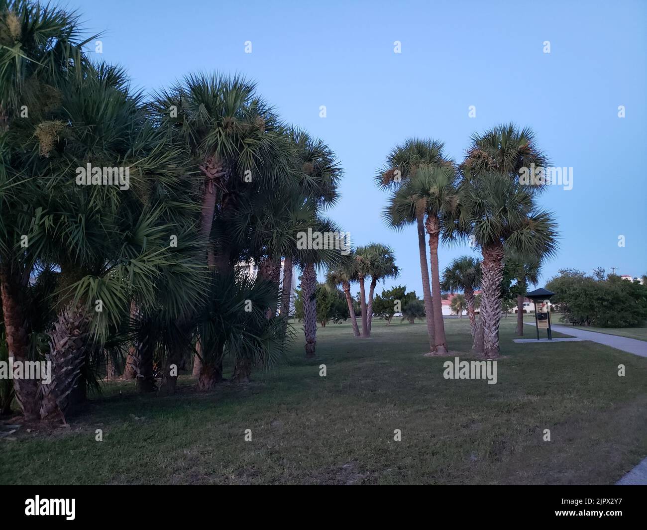 Manatee sanctuary park cape canaveral hi-res stock photography and ...