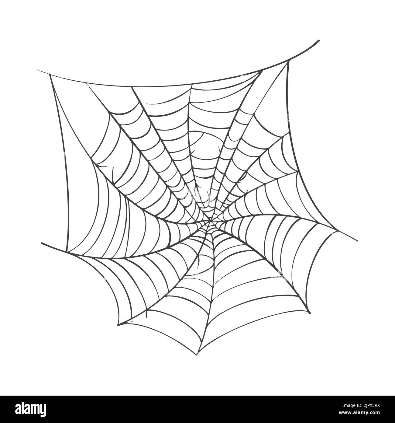 Spider on corner web hi-res stock photography and images - Alamy