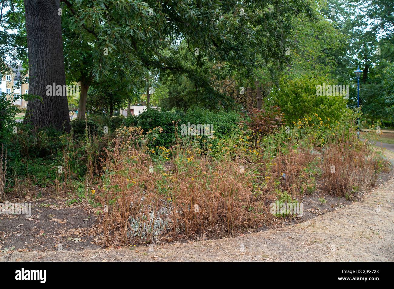 Slough, Berkshire, UK. 20th August, 2022. Locals have been helping to ...