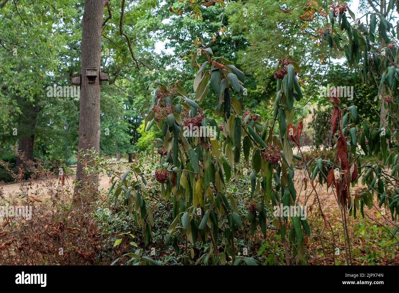 Slough, Berkshire, UK. 20th August, 2022. Locals have been helping to ...