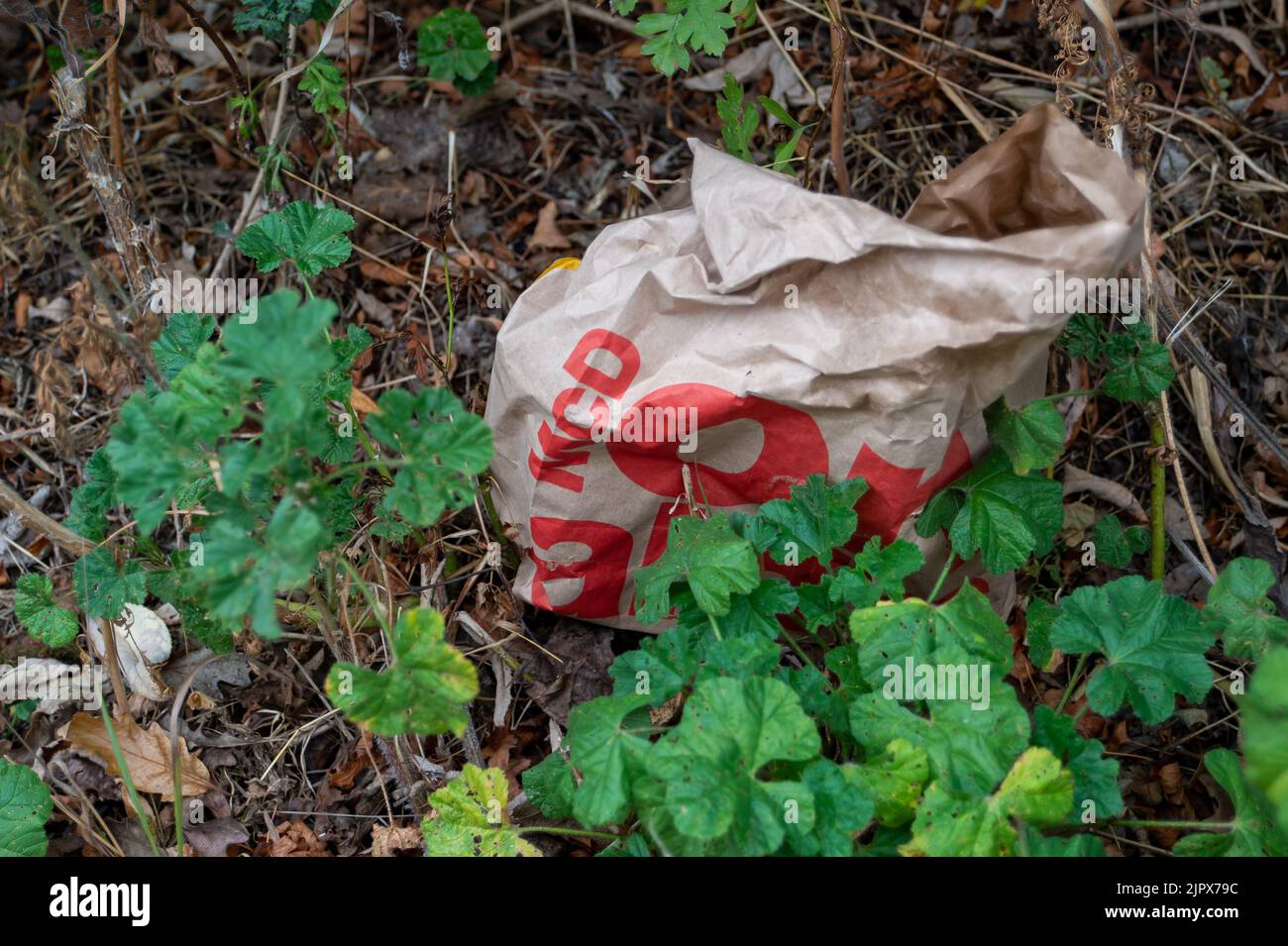 Slough Berkshire Uk 20th August 2022 Mcdonalds Packaging Dumped