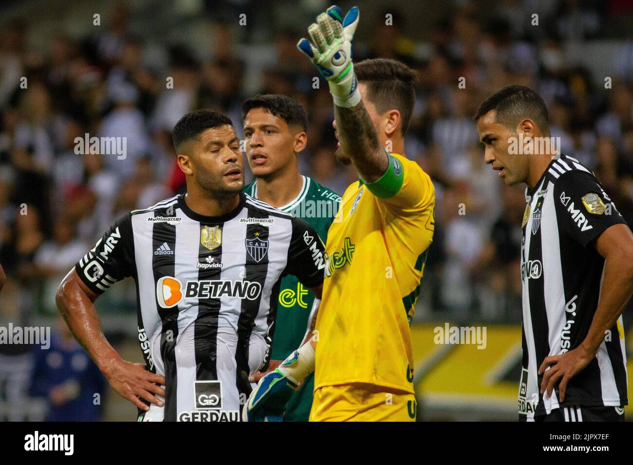 MG - Belo Horizonte - 08/20/2022 - BRAZILIAN A 2022 ATLETICO -MG X ...