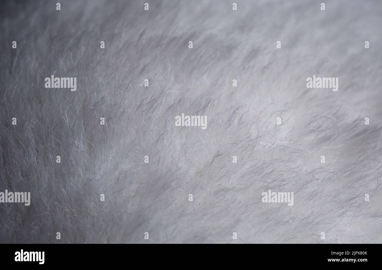 Soft fur fabric hi-res stock photography and images - Alamy