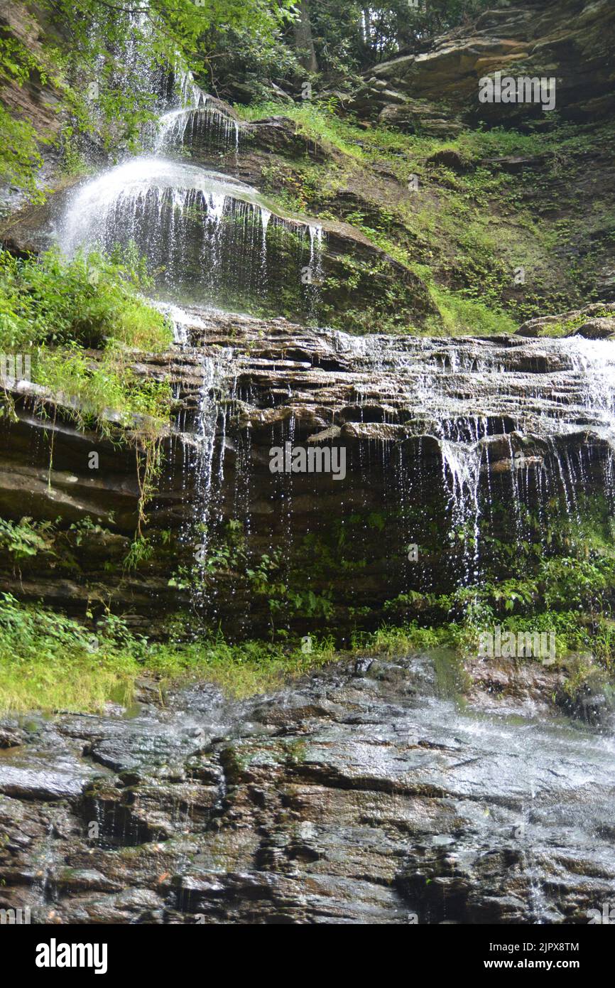 A scenic view of Cathedral falls in West Virginia Florida Stock Photo ...