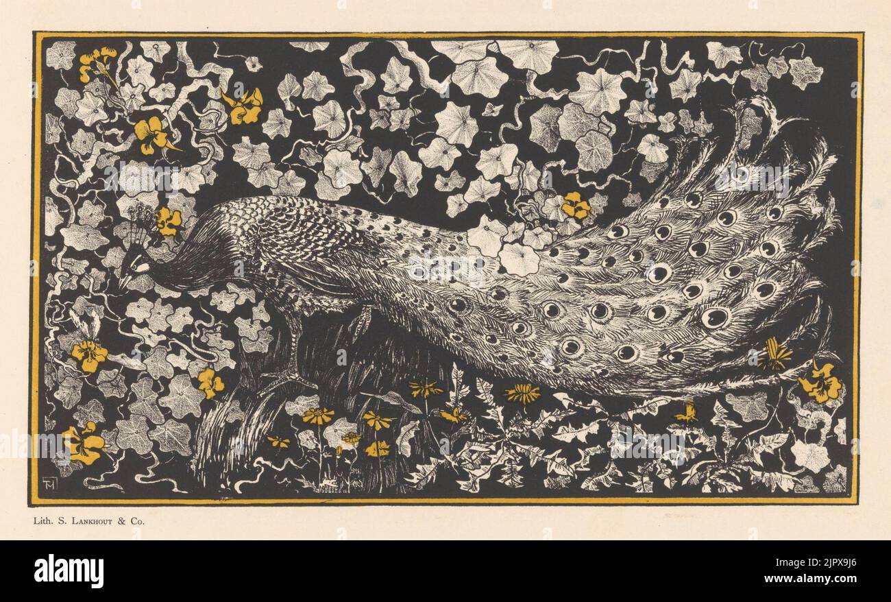 Pouw hi-res stock photography and images - Alamy