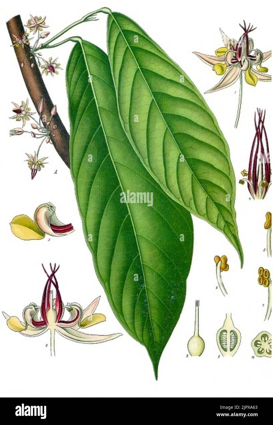 S 136 Cut Out Stock Images & Pictures - Alamy