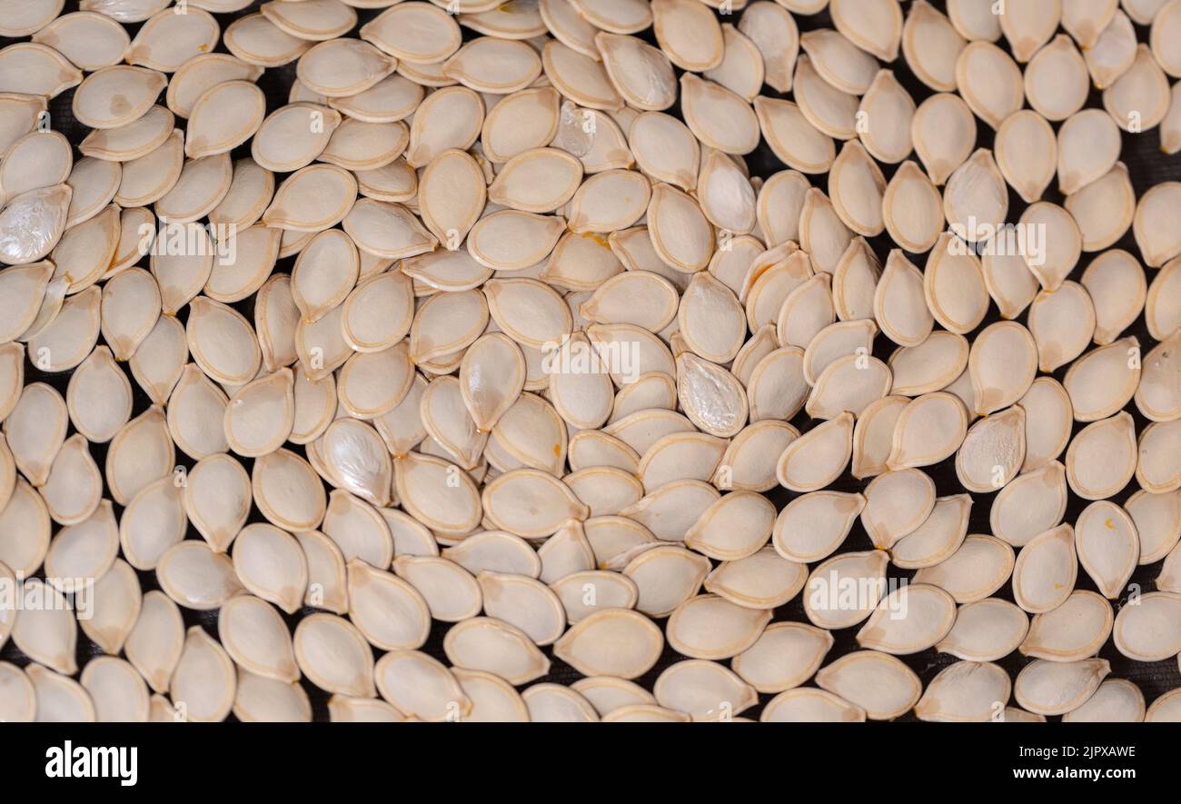 Pumpkin seeds creating a natural, spiral structure. Pure pumpkin seeds ...