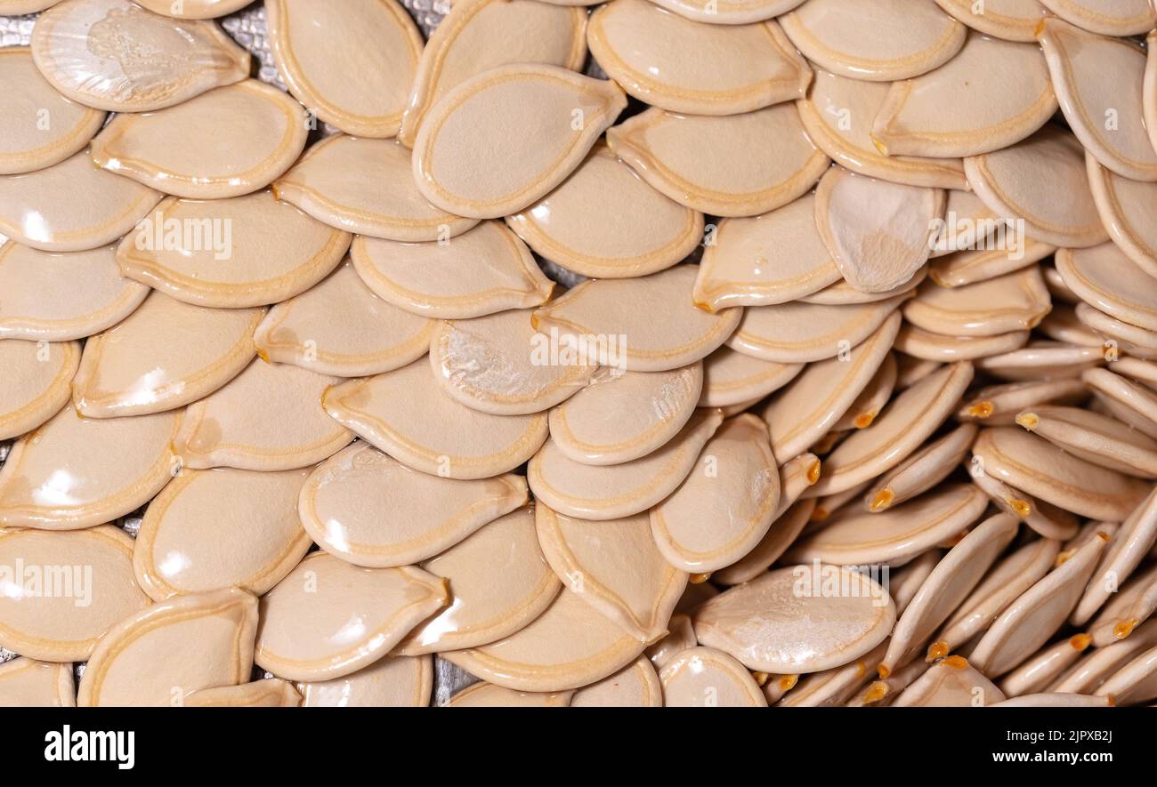 Pumpkin seeds creating a natural, spiral structure. Pure pumpkin seeds ...