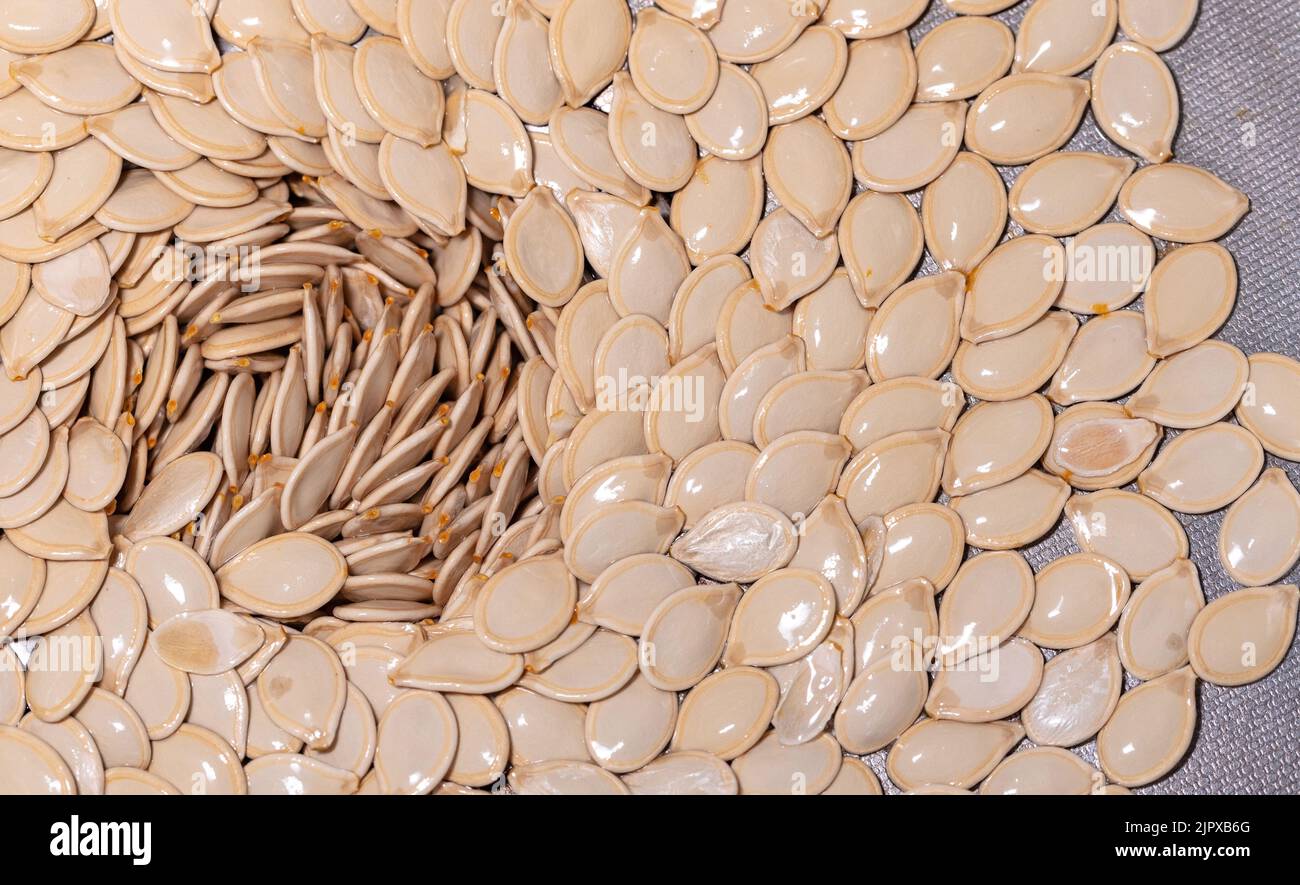 Pumpkin seeds creating a natural, spiral structure. Pure pumpkin seeds ...