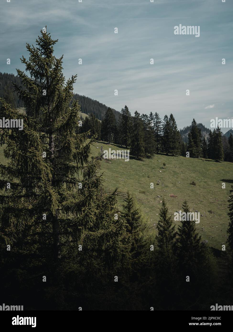 A beautiful view of a field with trees and mountains covered with ...