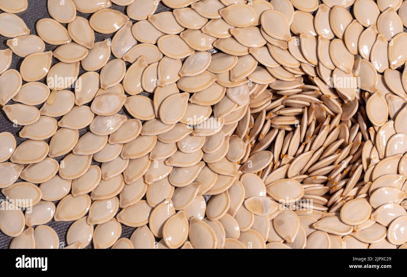Pumpkin seeds creating a natural, spiral structure. Pure pumpkin seeds ...