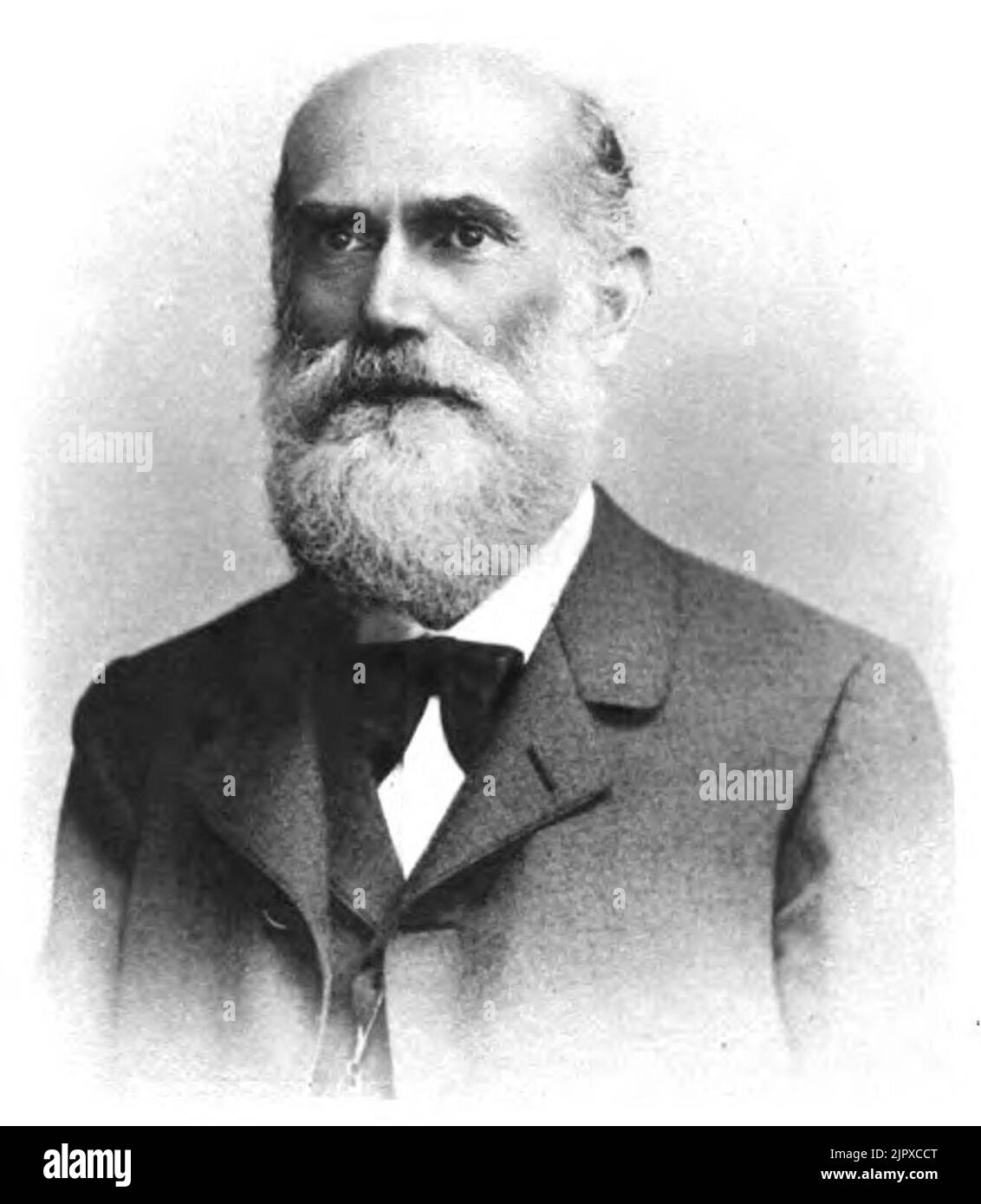 Leber Cut Out Stock Images & Pictures - Alamy