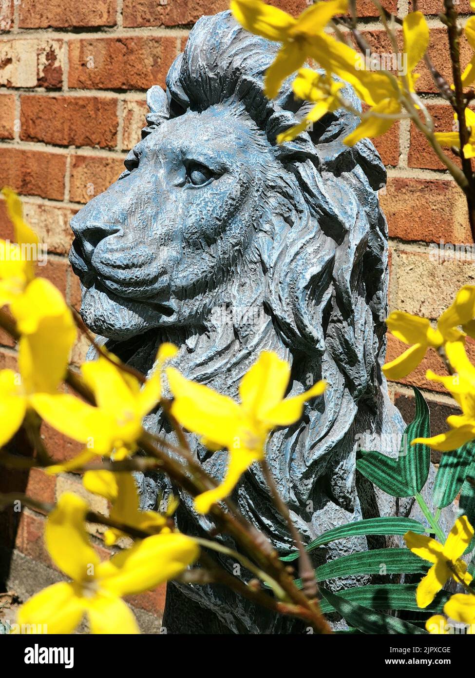 A closeup of the King Lion Statue on a brick wall with flowers Stock ...
