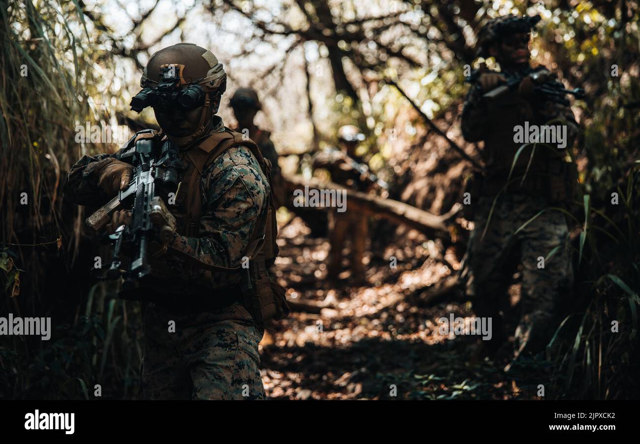 3d littoral combat team hi-res stock photography and images - Alamy