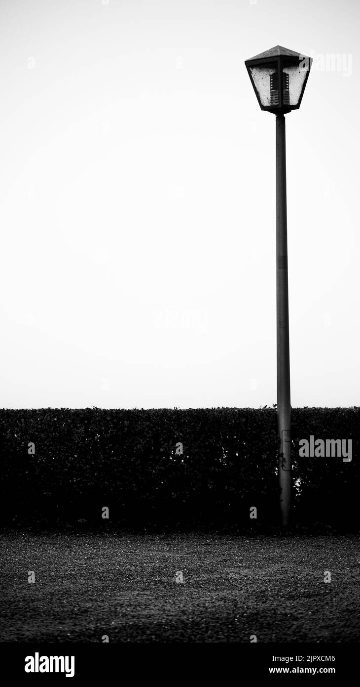 A grayscale of a lamppost in a garden with bushes Stock Photo - Alamy