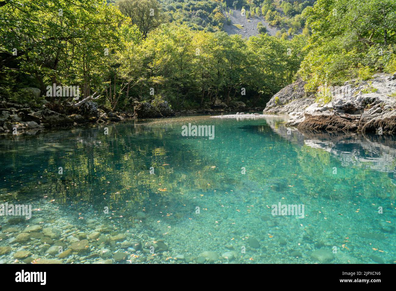 A beautiful view of a clear lake in a forest with green trees Stock ...