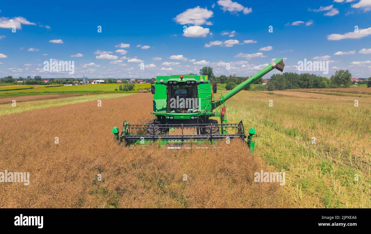 Aerial front view of a green agricultural combine harvester with a ...