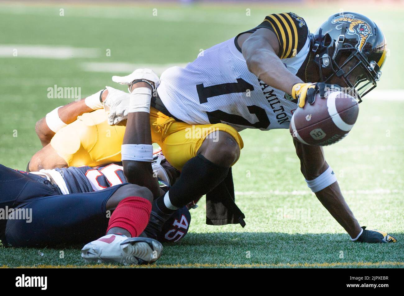 Hamilton Tiger-Cats Tim White (12) goes in for a touchdown during first ...