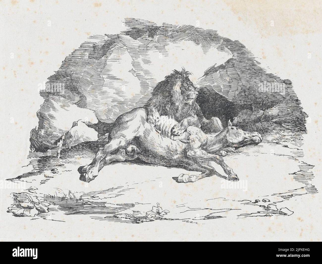 Theodore Gericault 020 (39026151754 Stock Photo - Alamy