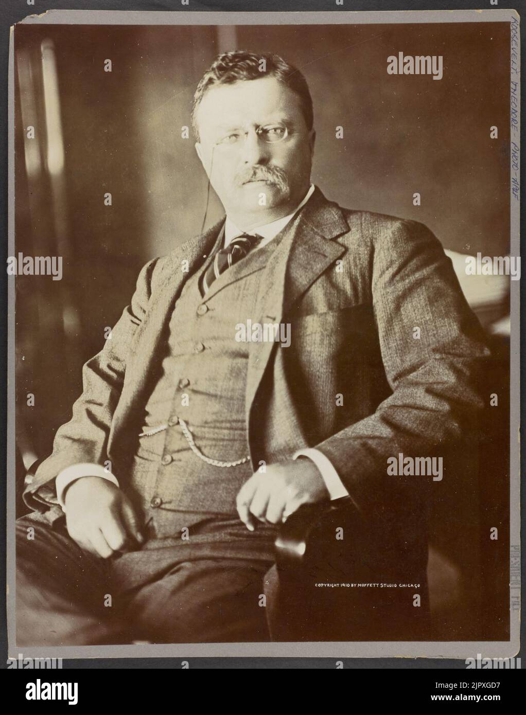 Theodore Roosevelt, half-length portrait, seated with one arm resting ...