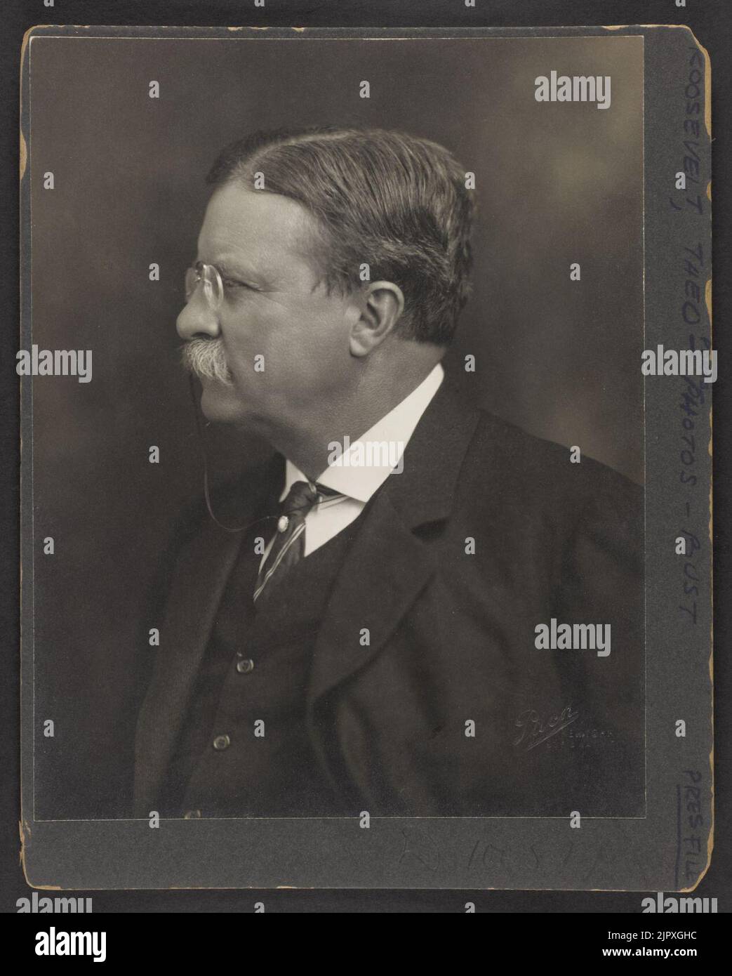 Theodore Roosevelt, head-and-shoulders portrait, left profile) - Pach ...