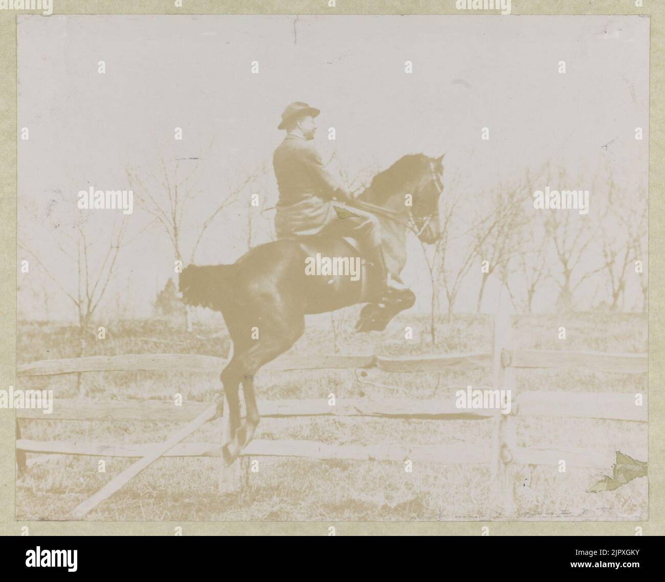Theodore Roosevelt, side view, on horseback jumping over fence Stock ...