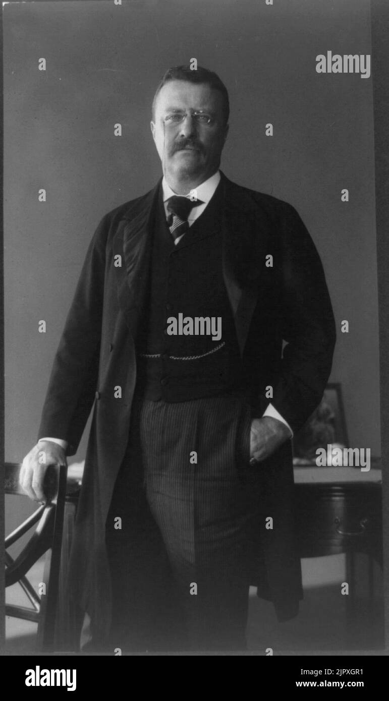Theodore Roosevelt, three-quarter length portrait, standing Stock Photo ...
