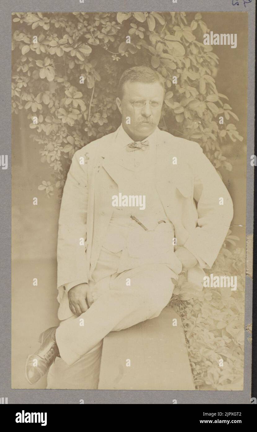 Theodore Roosevelt, three-quarters length portrait, facing front ...