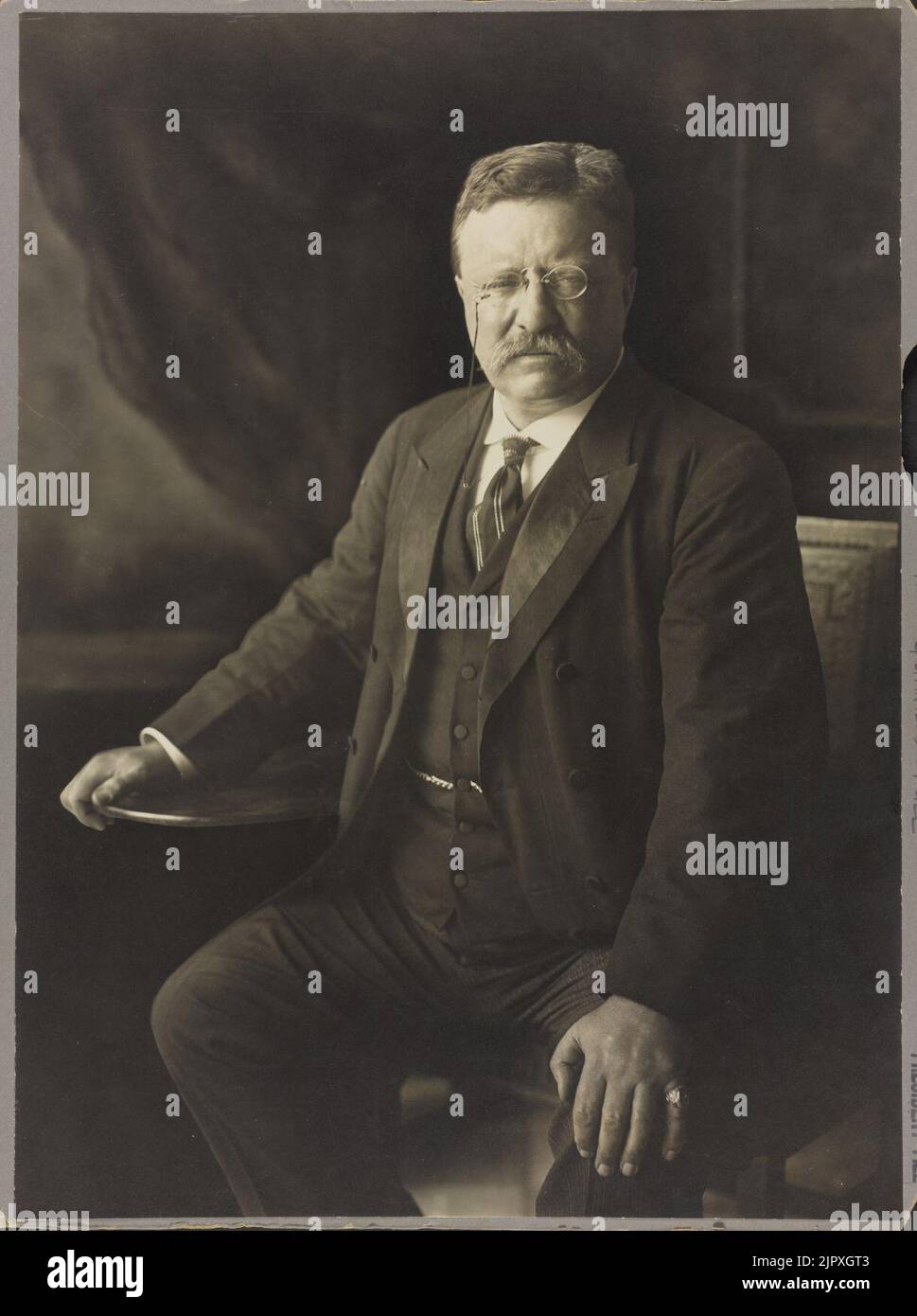Theodore Roosevelt, three-quarter length portrait, seated, facing front ...
