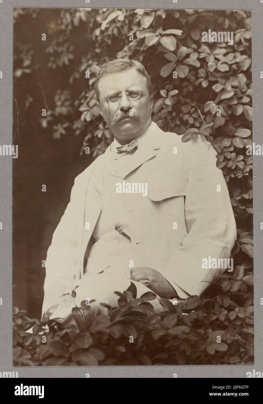 Theodore Roosevelt, three-quarters length, facing front, seated on ...