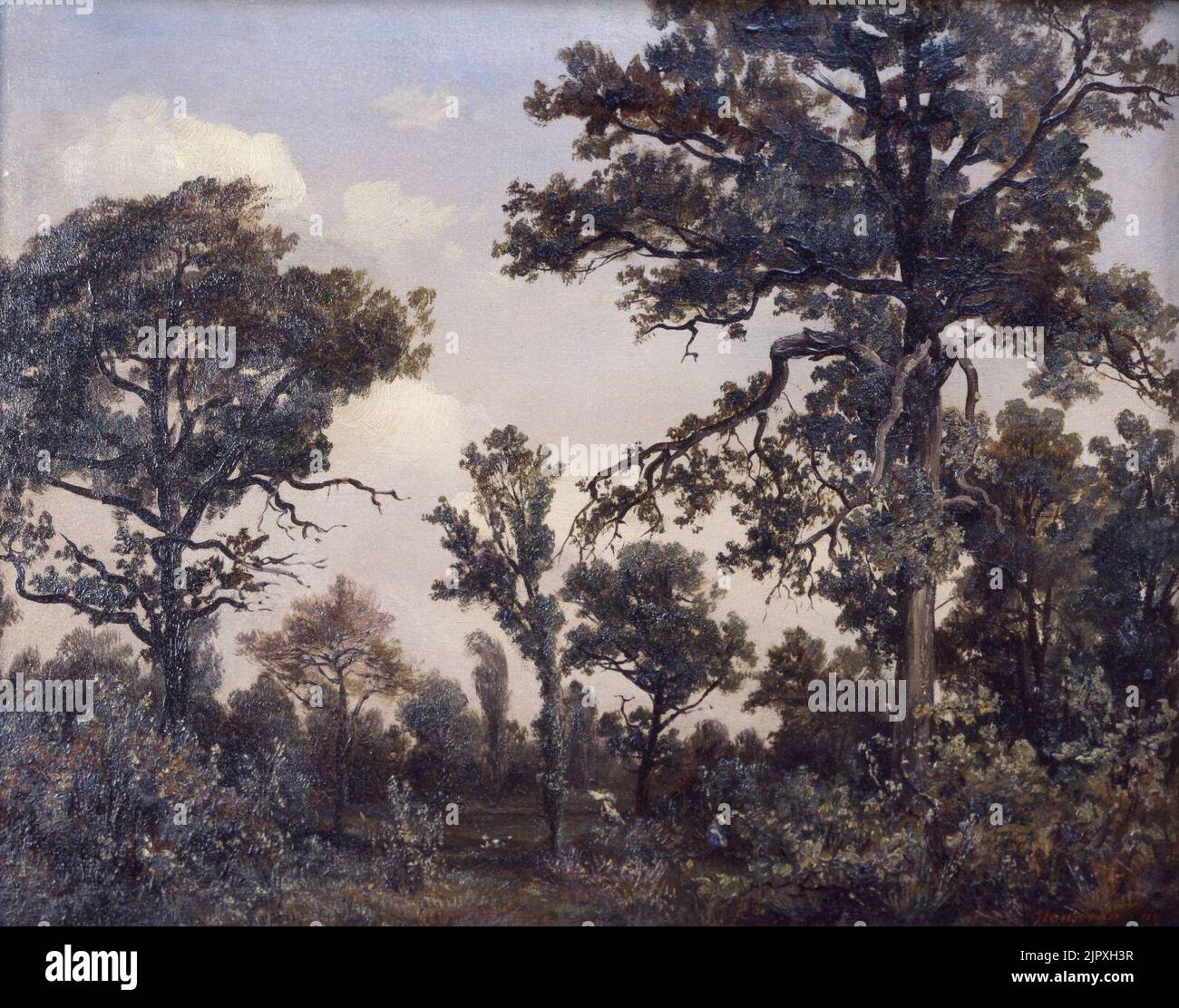 Théodore Rousseau - The Large Oak Tree, Forest of Fontainebleau Stock ...