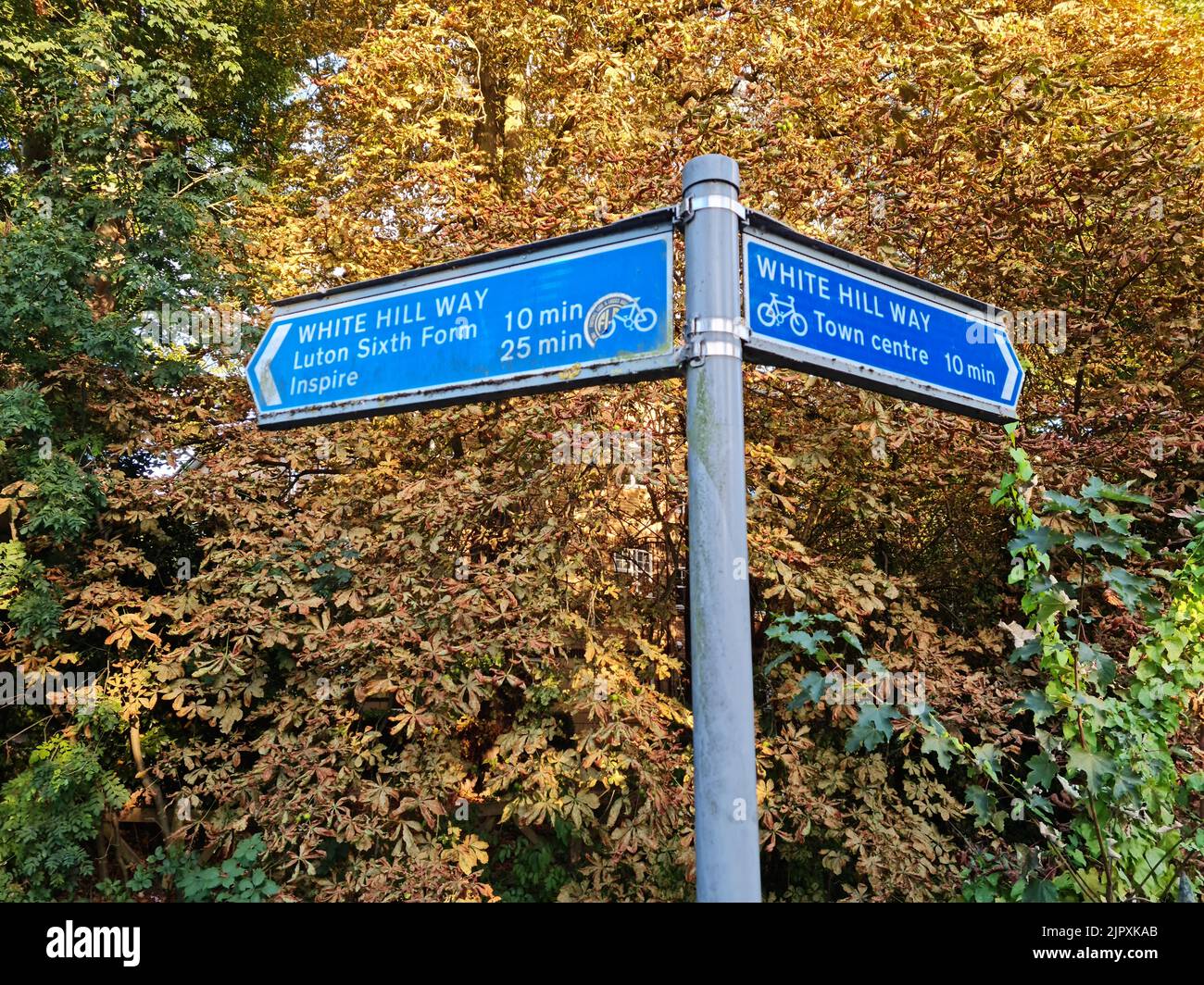 Luton town centre high street hi-res stock photography and images - Alamy