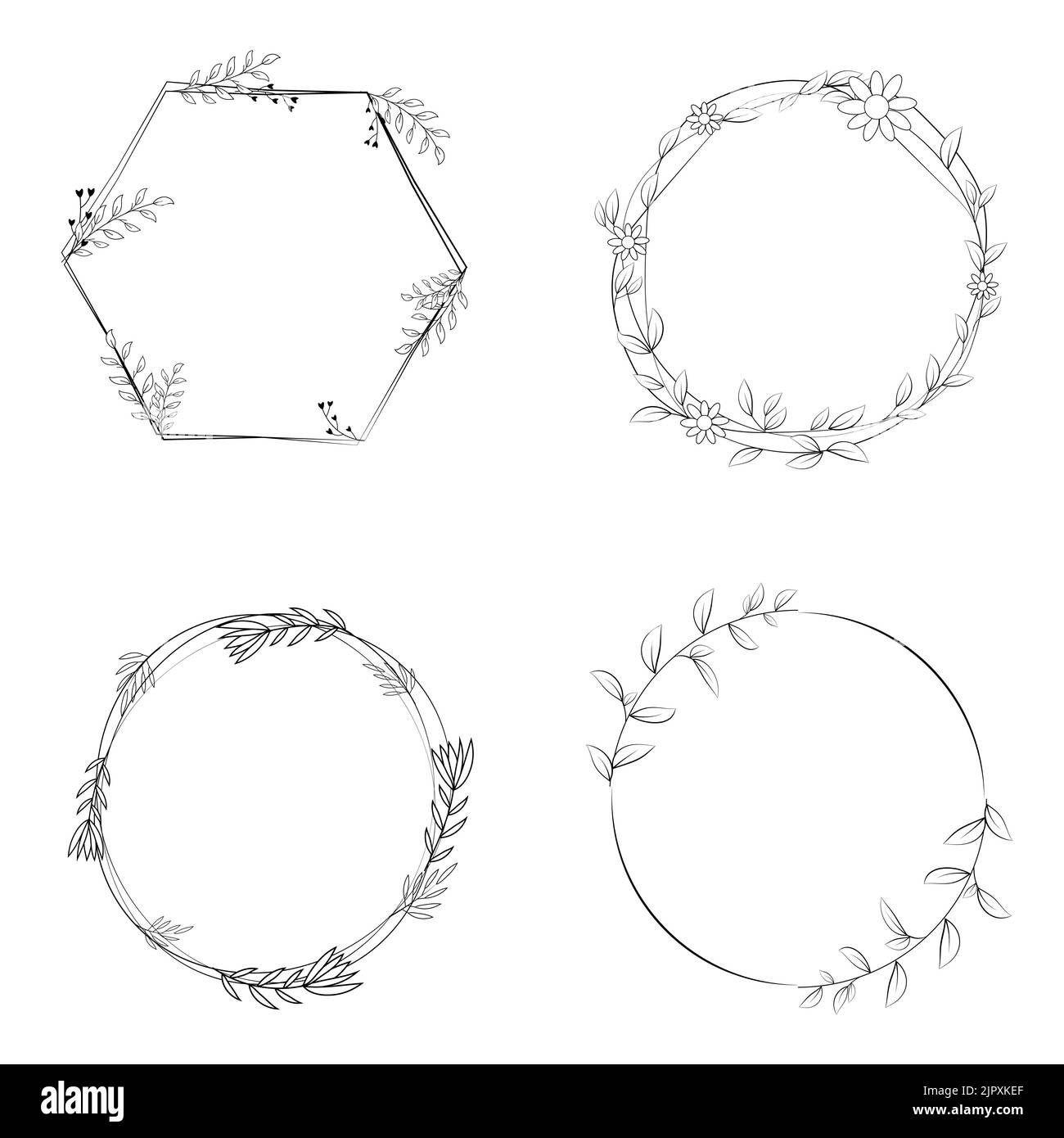 Botanical abstract vector card Stock Vector Images - Alamy