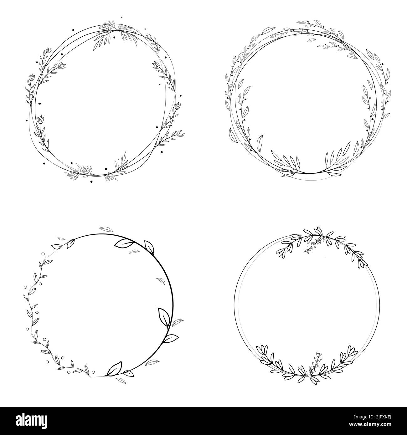 botanical frame floral set vector Stock Vector Image & Art - Alamy