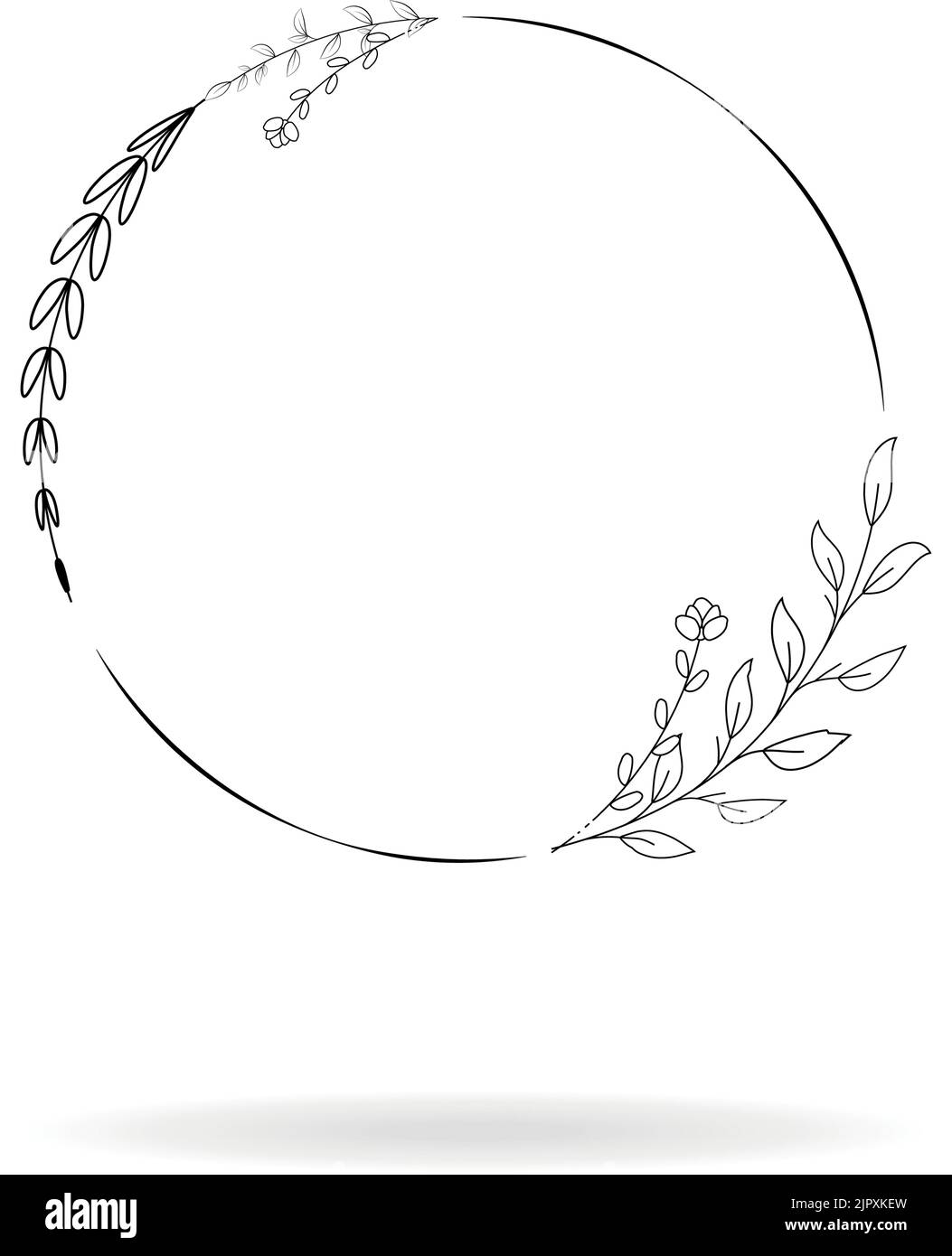 vector botanical floral frame Stock Vector Image & Art - Alamy