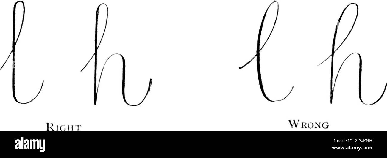 Fig 39 Black and White Stock Photos & Images - Alamy