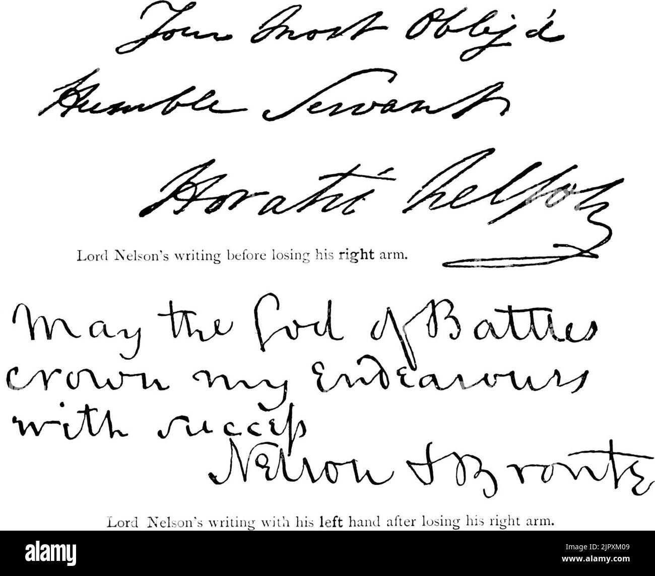 151 53 hi-res stock photography and images - Alamy