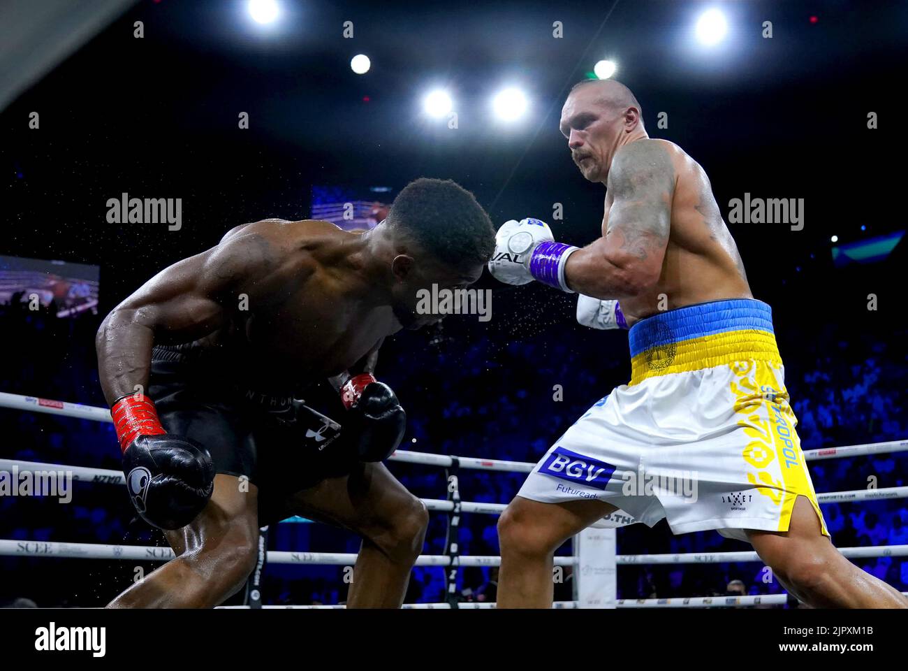 Anthony Joshua (left) and Oleksandr Usyk in action during their World Heavyweight Championship ...