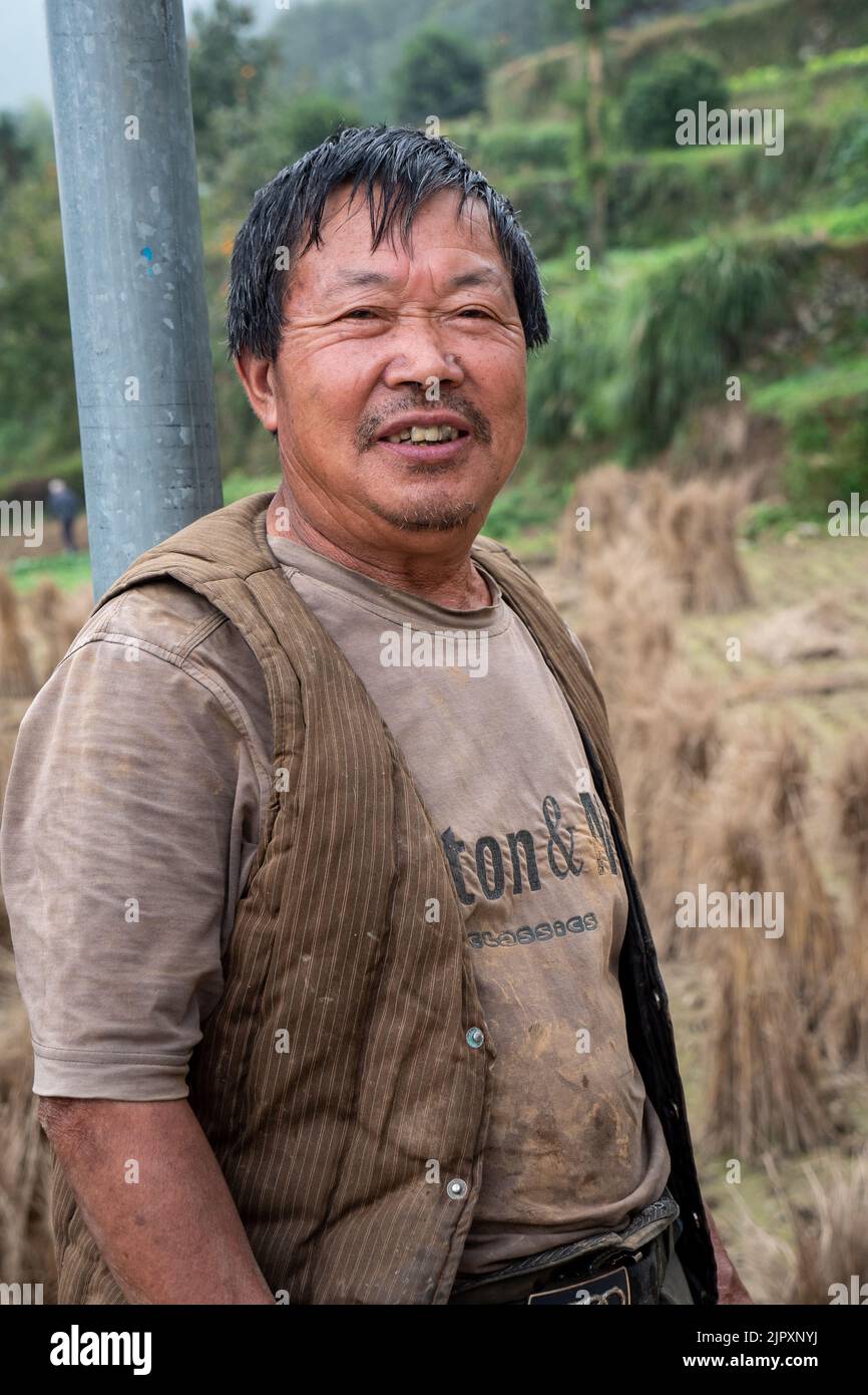 Terraced rice paddy fields provide a scenic agricultural beauty in ...