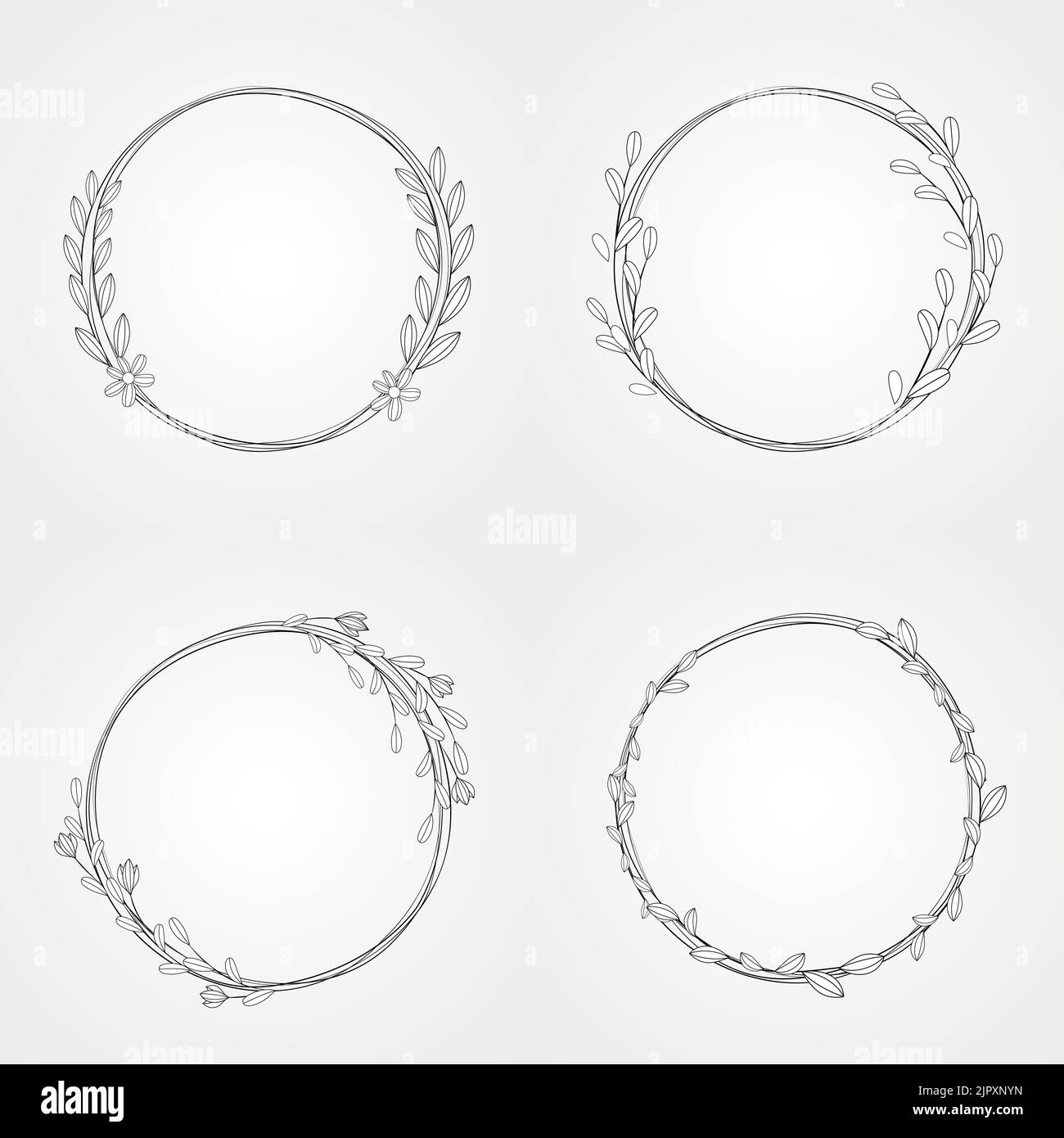 botanical frame floral set isolated Stock Vector Image & Art - Alamy